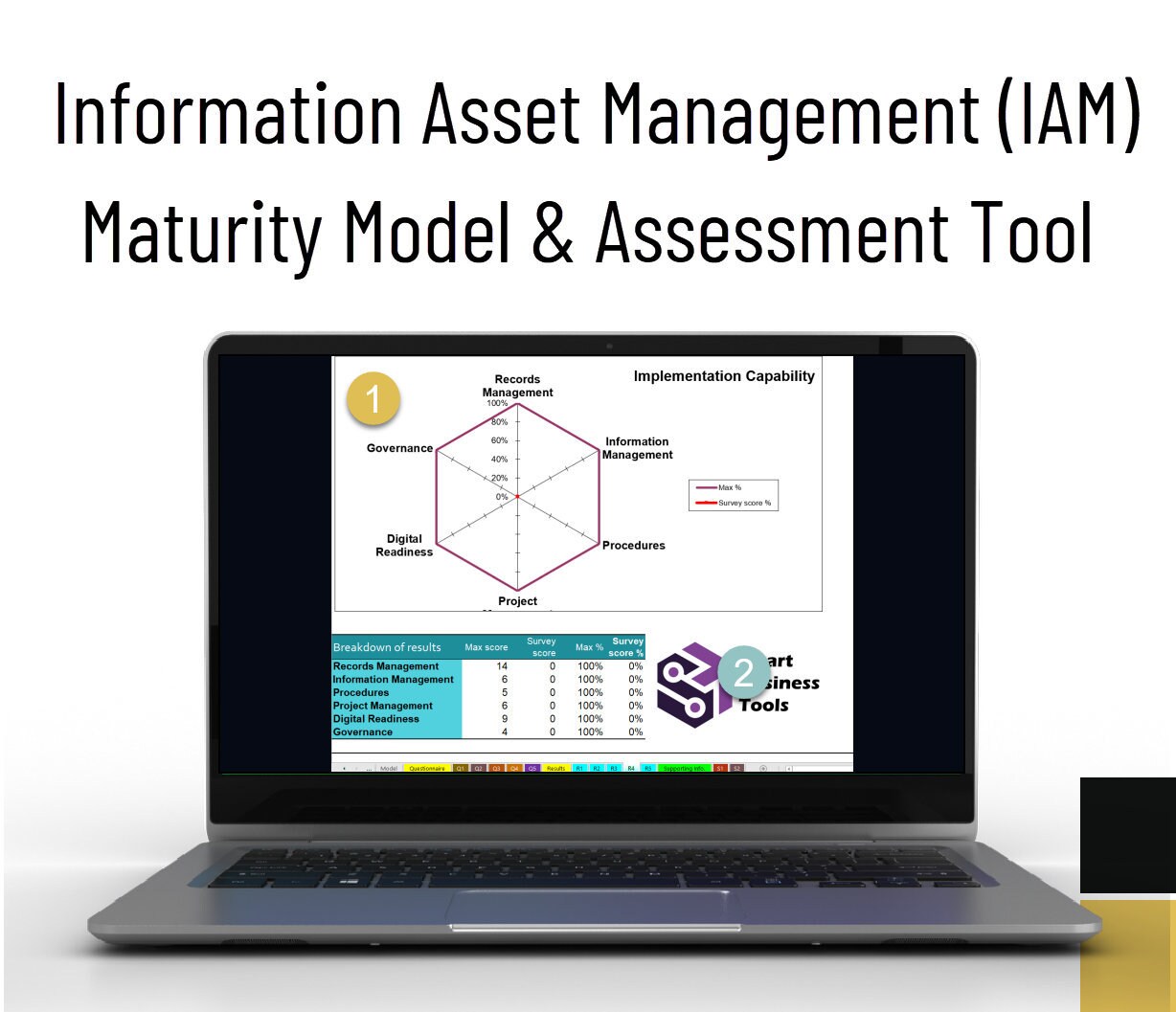 IAM Maturity Model & Assessment Tool: Advanced Gantt (XLSX) - Etsy