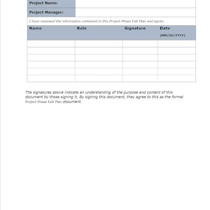 Project Exit Plan Template - Etsy