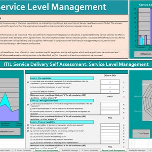 ITSM Self Assessment Tool: Service Delivery Template (XLSX) - Etsy