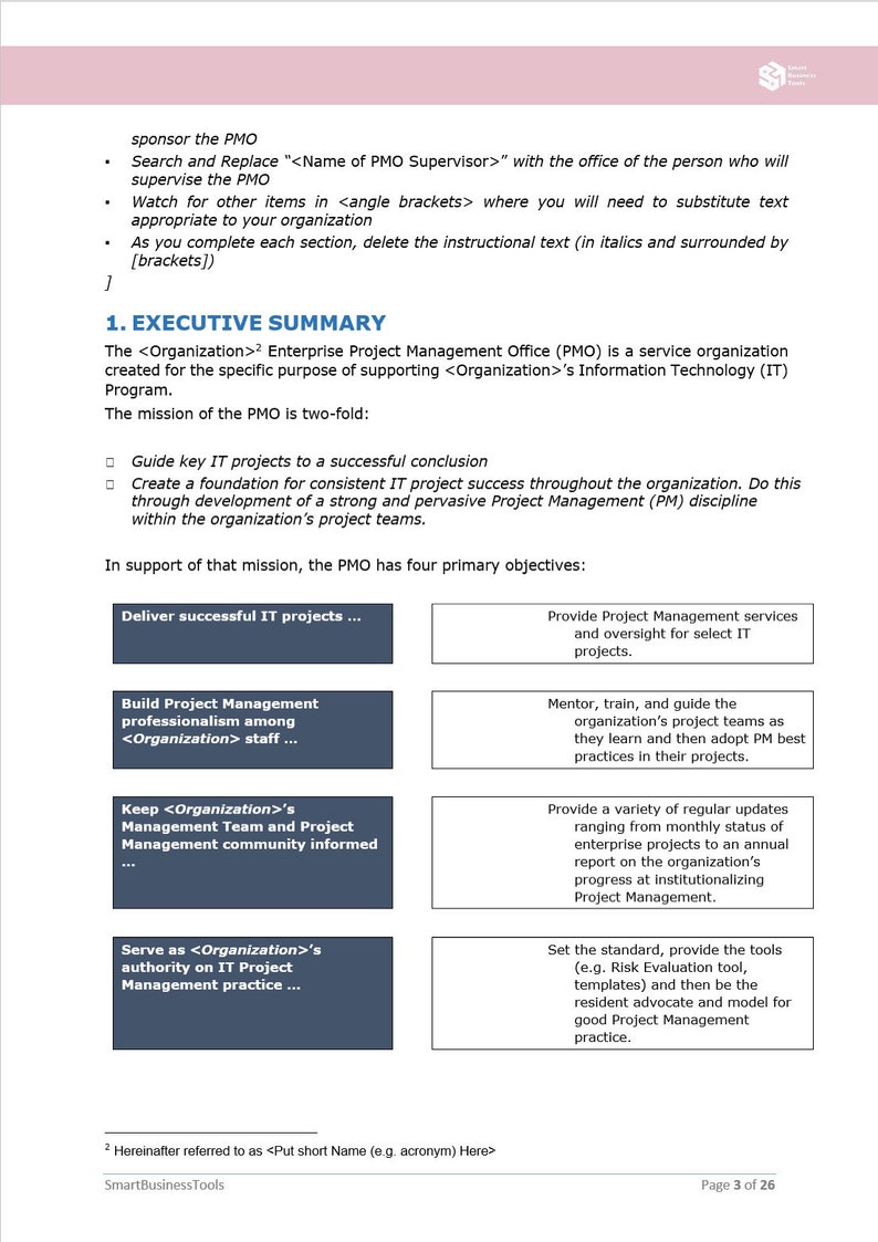 PMO Charter Template - Etsy