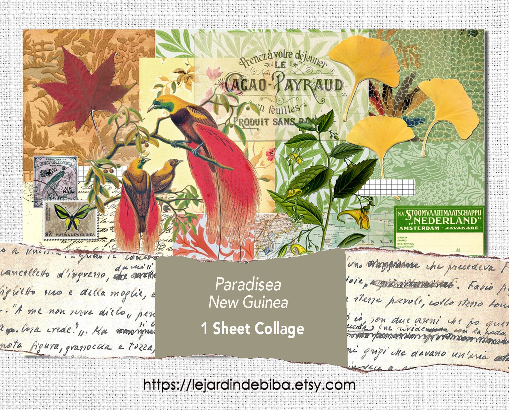 Vintage Collage Sheet, Bird of Paradise, Collage Australia, Masterboard ...