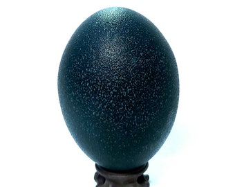 Emu Egg | Etsy