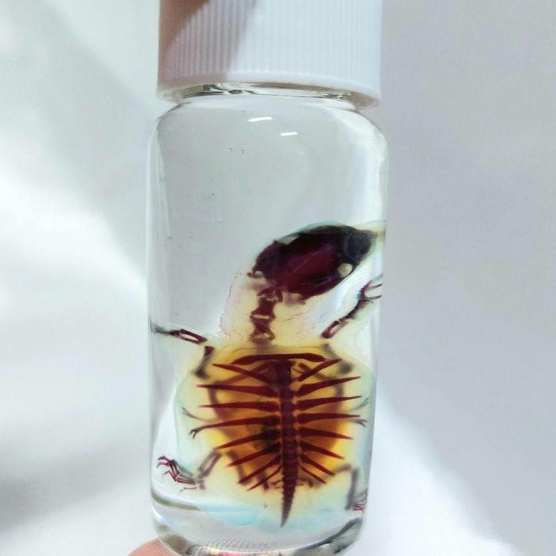 Diaphonization - Etsy