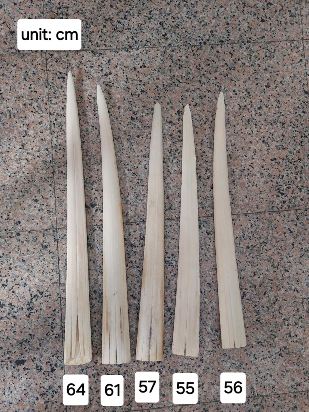 Reserved,please Don't Please Order 5 Pcs Over 55-64cm Real Swordfish ...