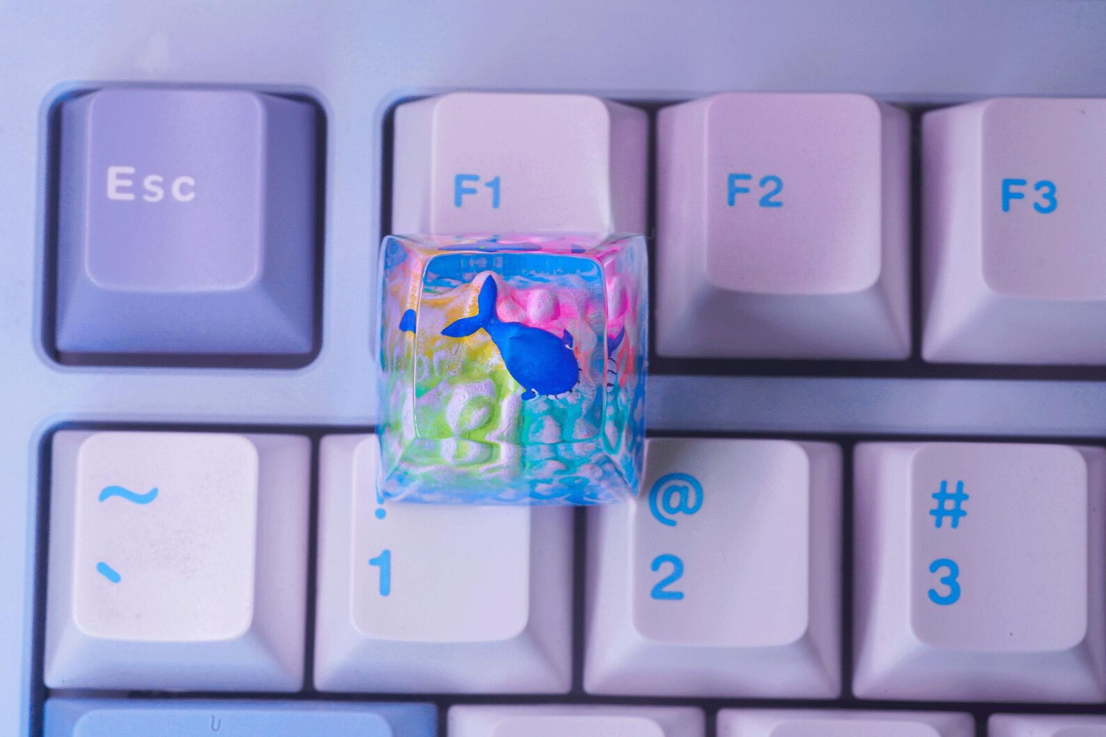 Whale Keycap, Keycaps for Lover Ocean, Handcrafted Resin Keycap for ...