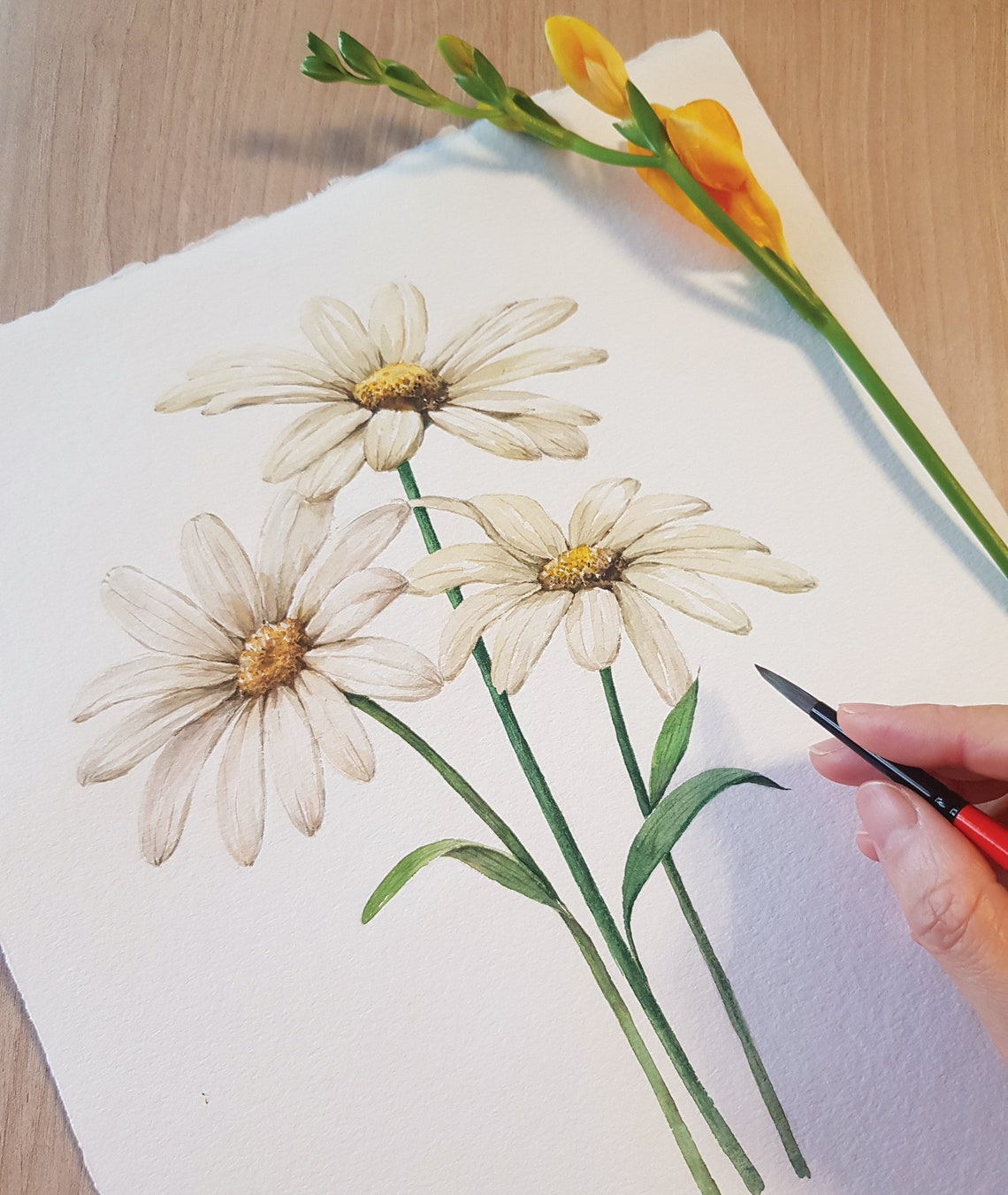 Printable Daisy Paintings, Bedroom, Kitchen, Living Room Wall ...