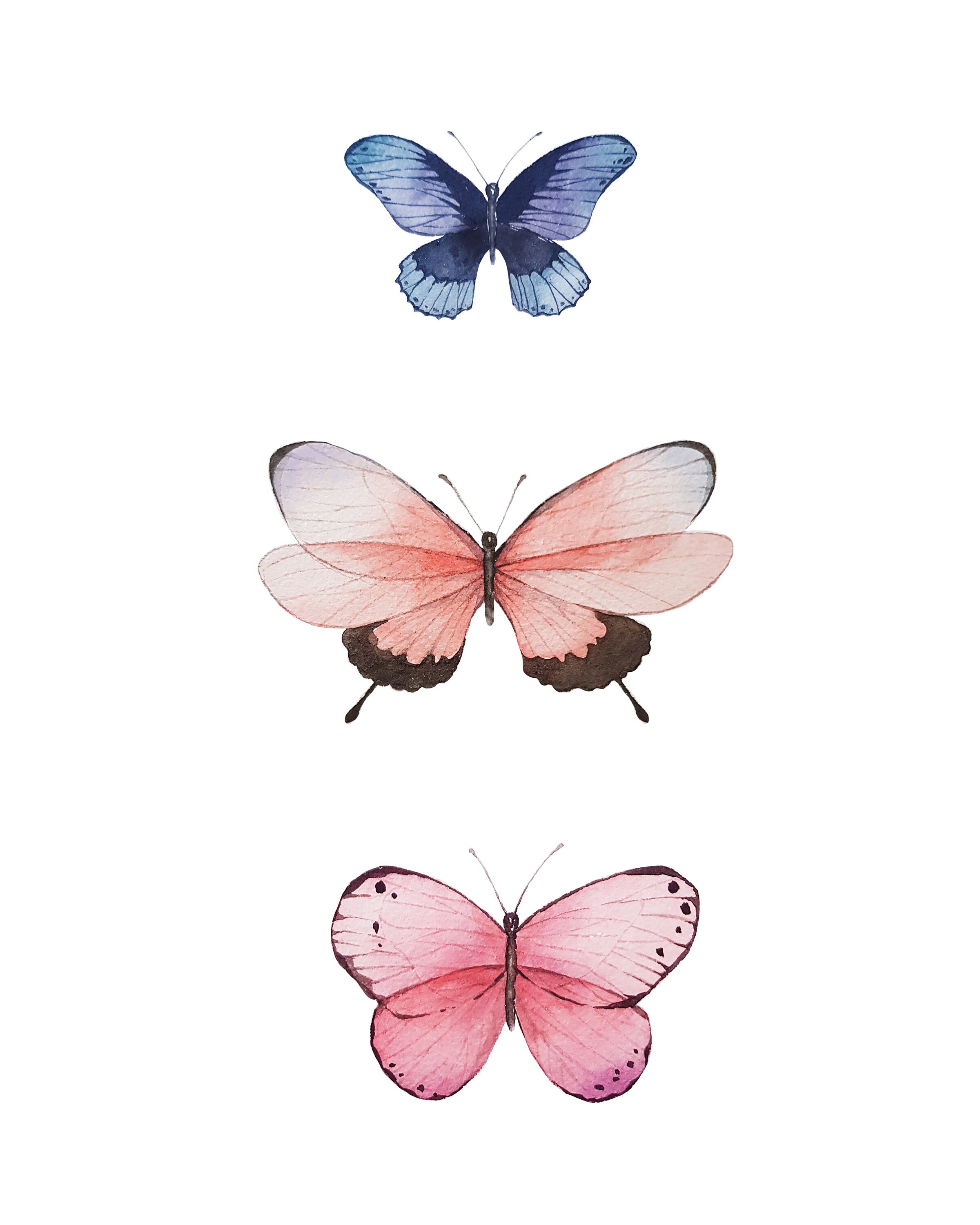 Printable Butterfly Paintings, Vintage Watercolors, Botanical Art ...