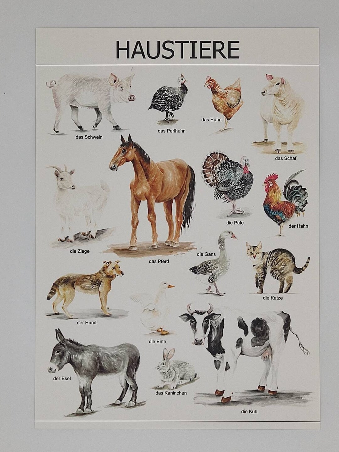 Kinderzimmer Poster , Montessori Poster, Poster A3, Bauernhof - Etsy