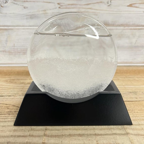 Bird Shape Storm Glass Decor Storm Glass Weather Predictor | Crystal ...