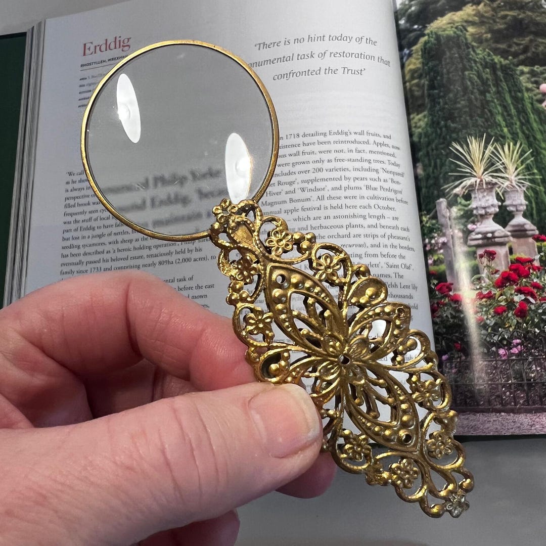 Handy Gold Magnifying Glass With Pretty Metalwork Handle, Lightweight ...