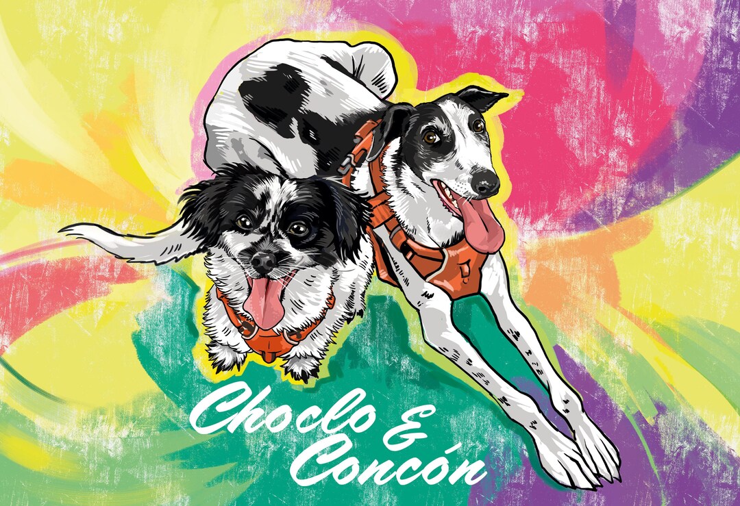 Customize Border Collie and Dasher Dog Portrait With Rainbow Background ...