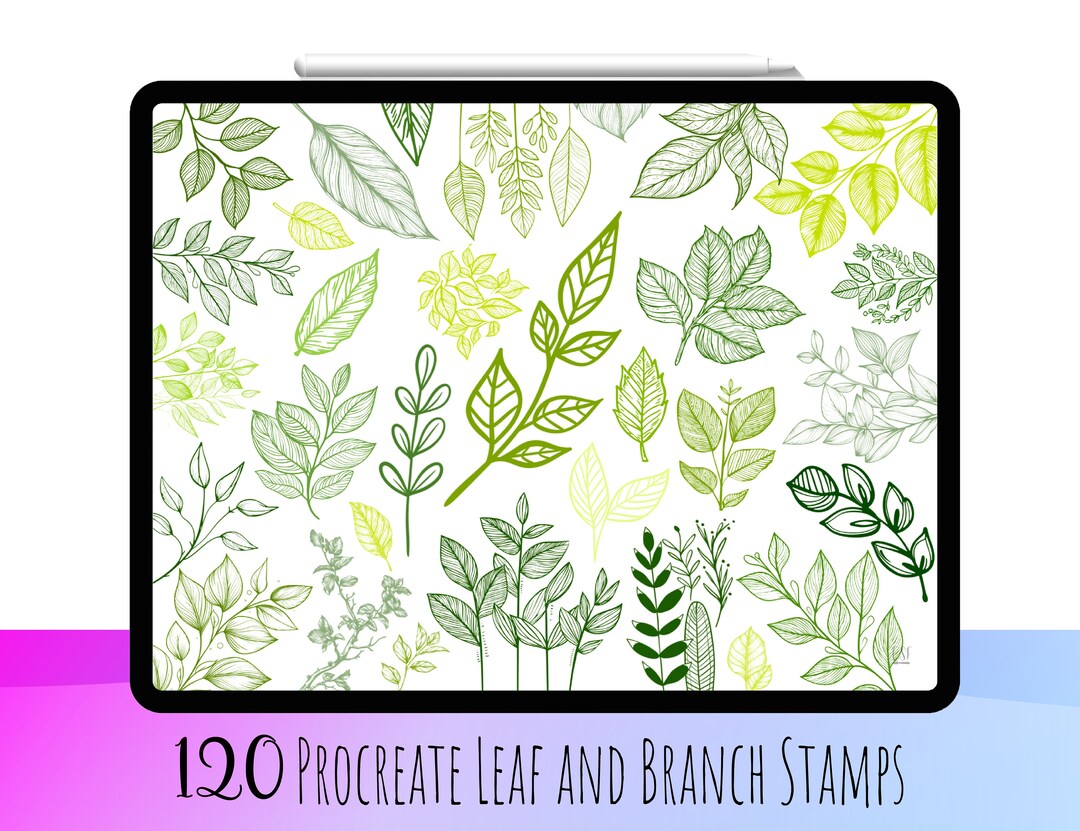 120 Procreate Leaves and Branches Stamp Brushes, Leaf Stamp Set, Branch Brush, Digital Star ...