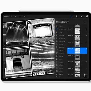 150 Procreate Concert Stage Background Stamps, Music Venue Scenes, Live ...