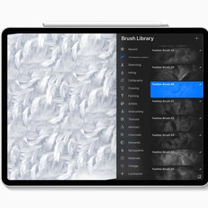 100 Procreate Realistic Feather Texture Brushes, Procreate Feather, Bird Feather Procreate ...
