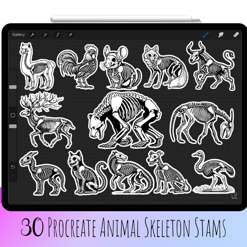 Skeleton Stamps - Etsy