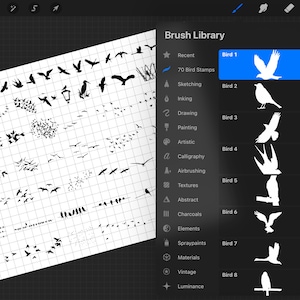 70 Procreate Bird Stamp Brushes, Bird Stamp Set, Bird Brushes, Digital ...
