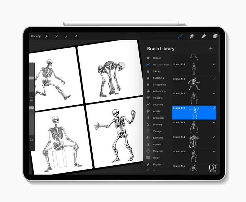 160 Skeleton Pose Procreate Stamps, Skeleton Brush Set, Anatomy Poses ...
