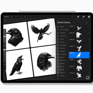 100 Raven Bird Stamp Brushes, Procreate Crow, Bird Procreate, Gothic Bird, Black Bird Stamps ...