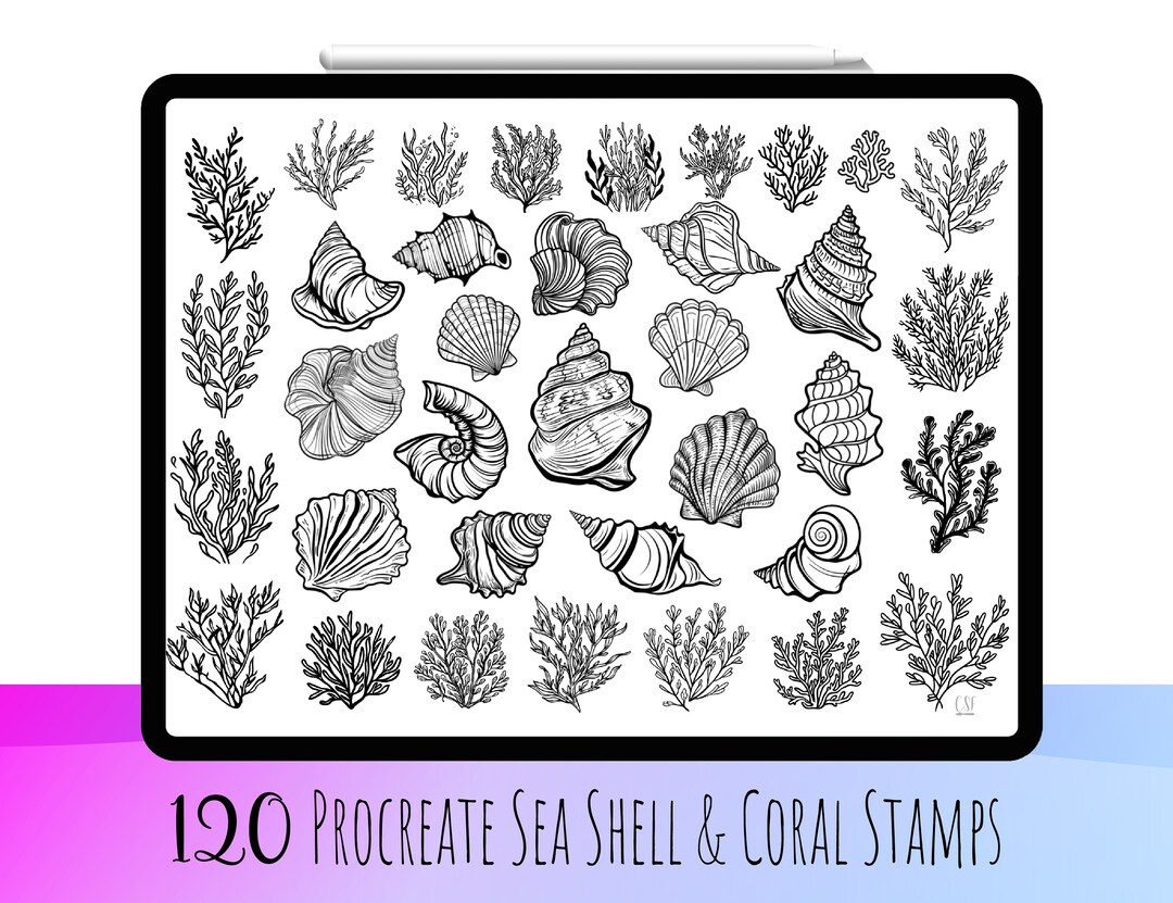 120 Procreate Sea Shell Stamp, Sea Shell Brush Set, Sea Life Stamp ...