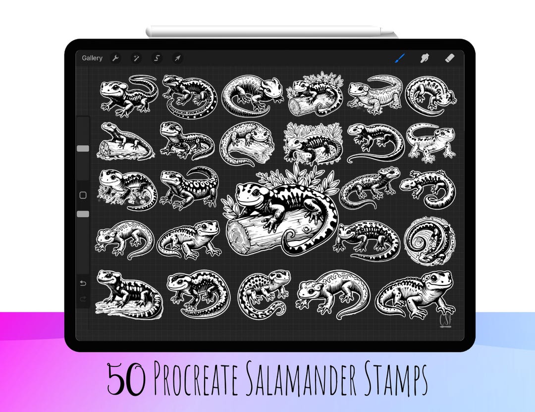 50 Procreate Salamander Stamp Brushes, Salamander Stamps, Reptile ...
