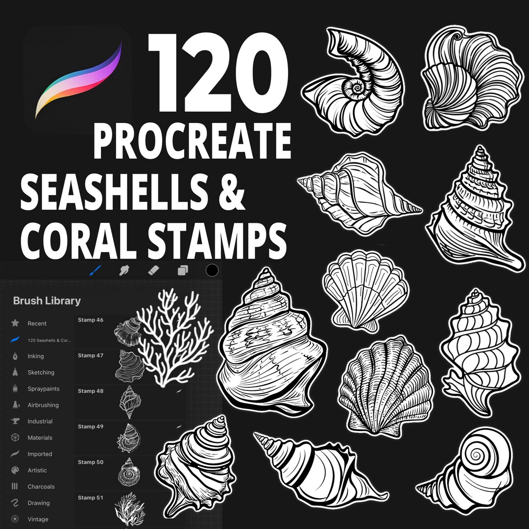 120 Procreate Sea Shell Stamp, Sea Shell Brush Set, Sea Life Stamp, Procreate Sea Shell Brush ...