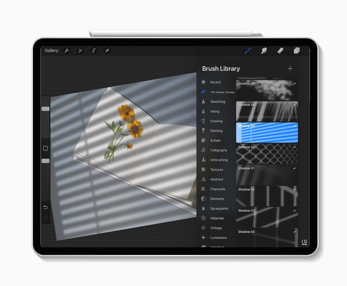 100 Procreate Shadow Stamp Brushes, Shadow Stamp Set, Shadow Brushes, Window Shadow Procreate ...