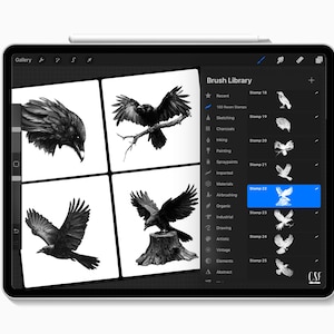 100 Raven Bird Stamp Brushes, Procreate Crow, Bird Procreate, Gothic Bird, Black Bird Stamps ...