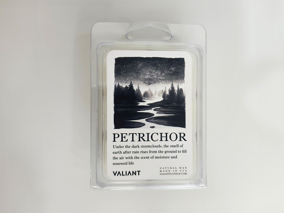 Petrichor | the Smell of Earth After Rain | Soy Wax Melts - Etsy