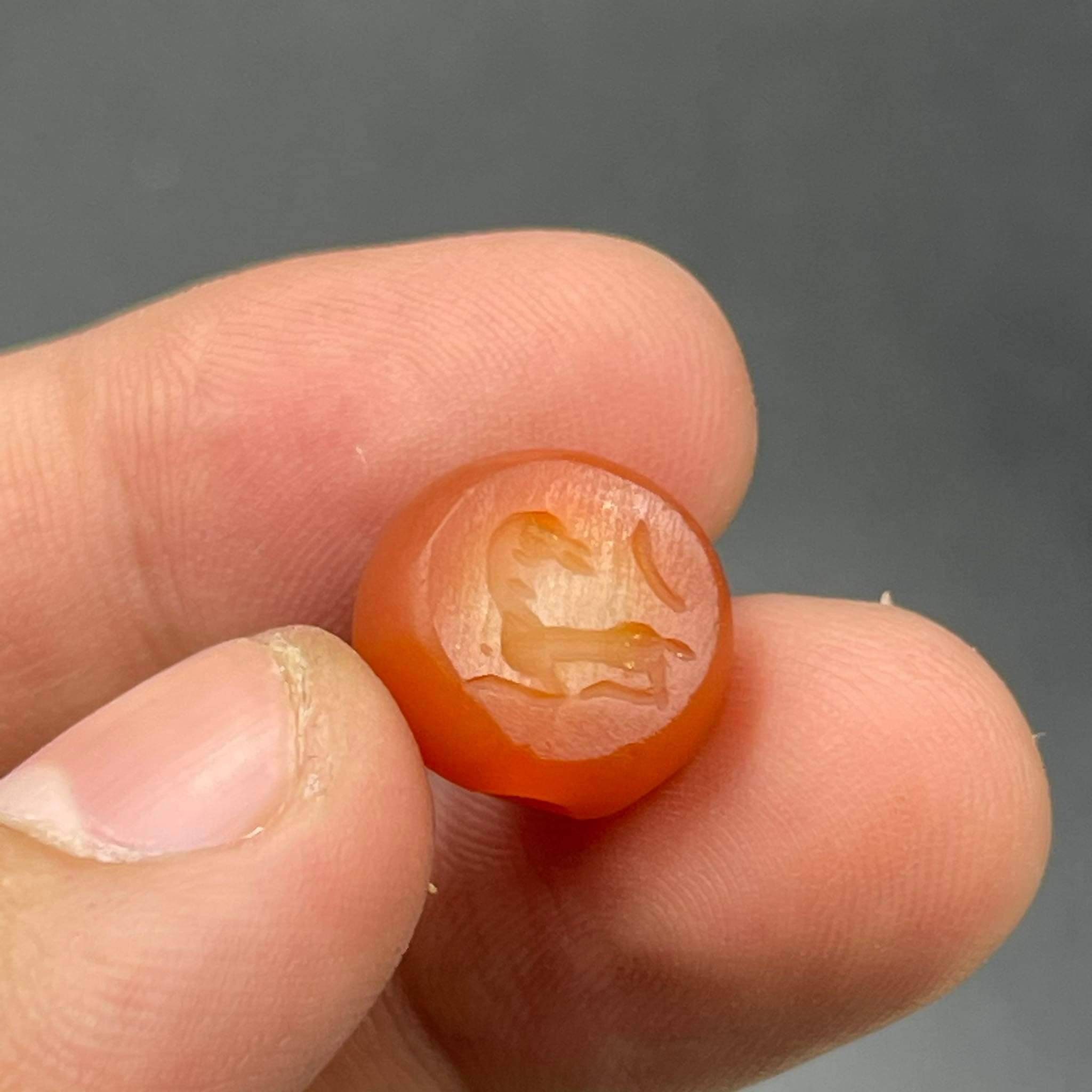 Ancient Roman Carnelian Agate Animal Engraved Intaglio Seal - Etsy
