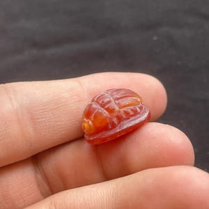 Extremely Rare Ancient Carnelian Egyptian Baby Scarab Amulet Intaglio ...