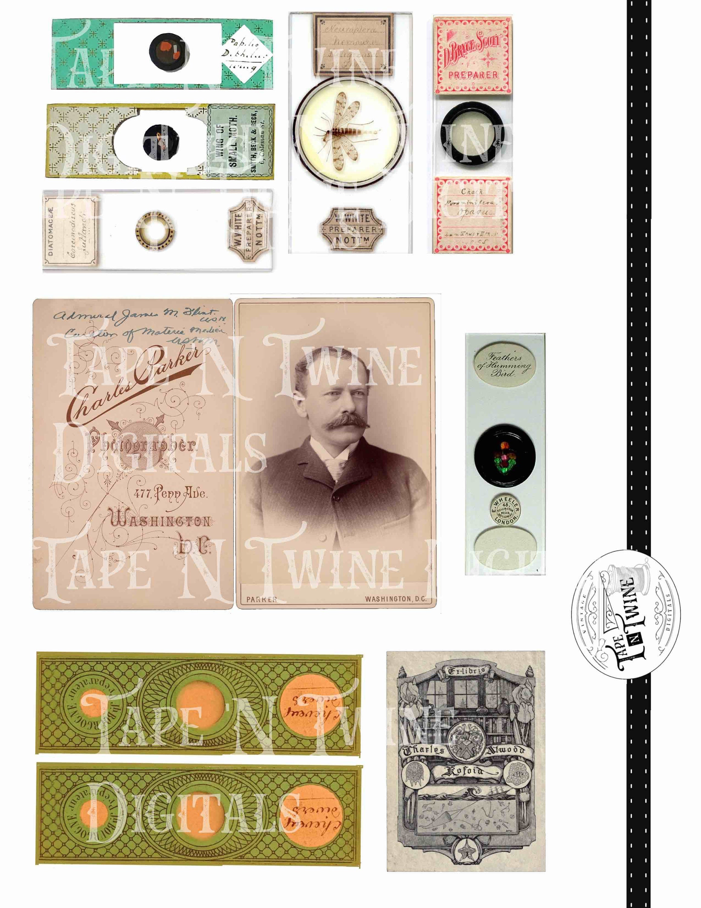 Under the Microscope Junk Journal DIGITAL KIT / Victorian - Etsy Ireland