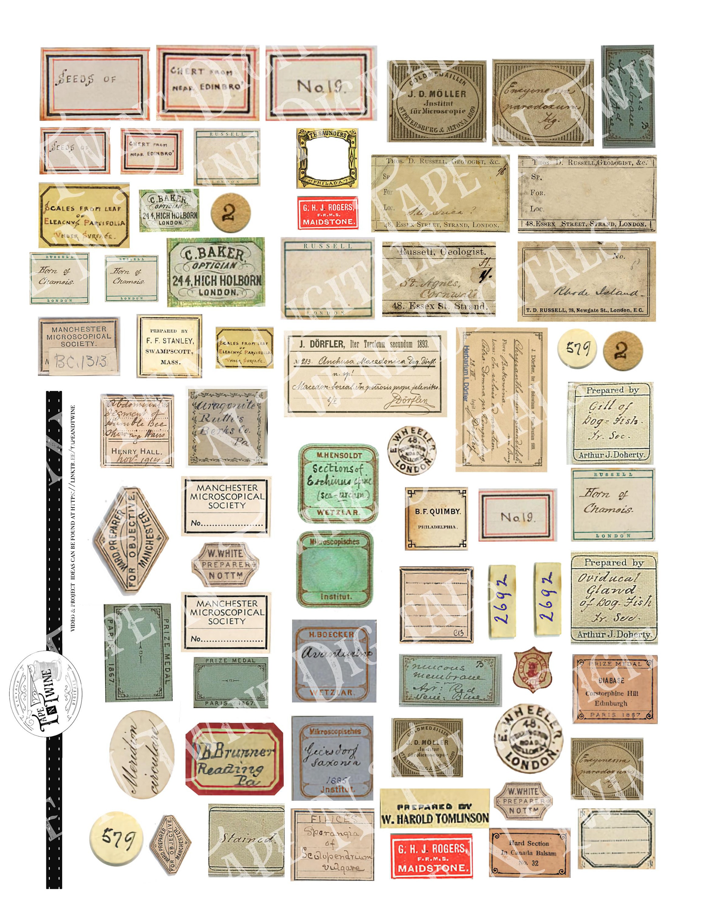 The Naturalist's Cabinet Antique Specimen Labels *DIGITAL KIT ...