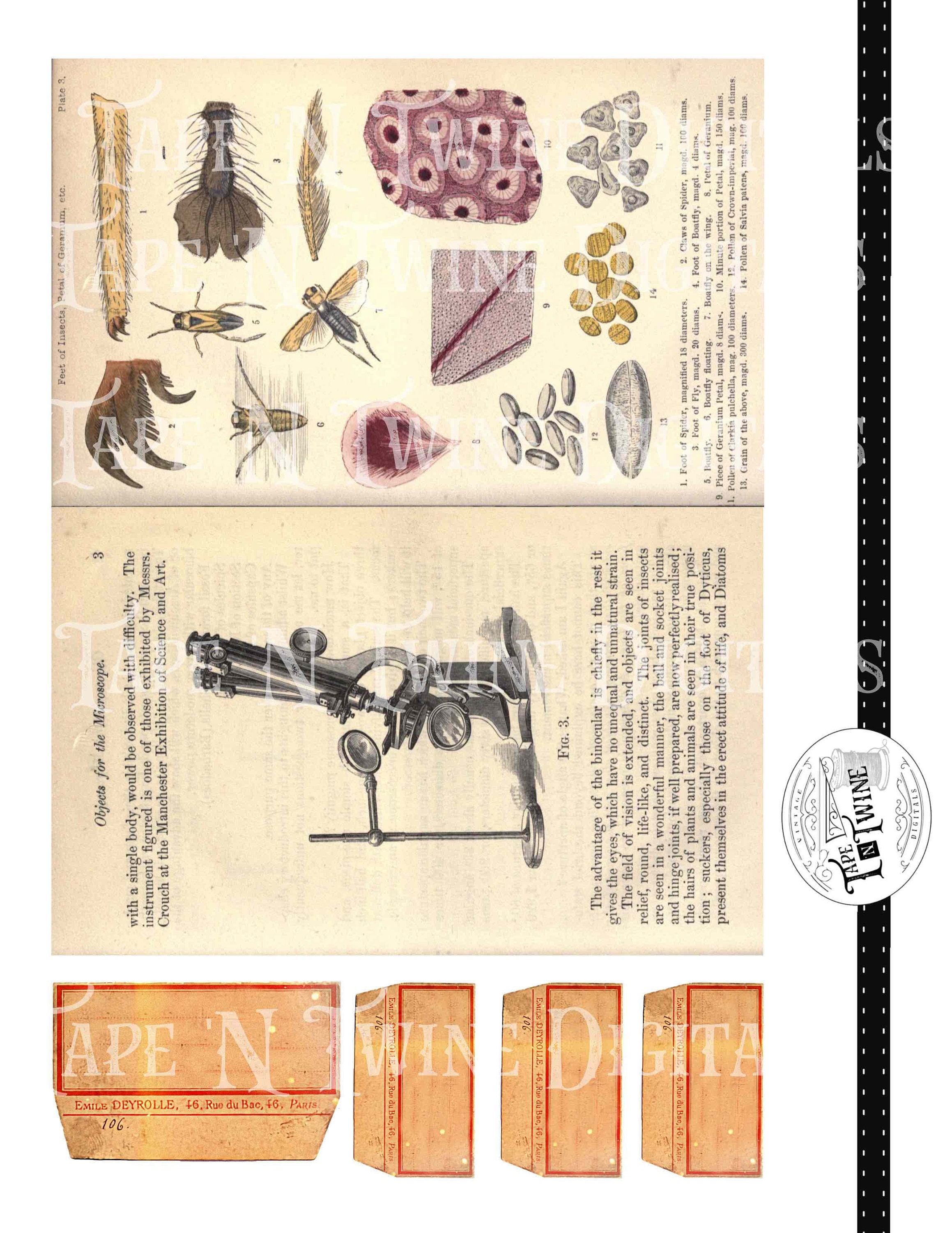 Under the Microscope Junk Journal DIGITAL KIT / Victorian - Etsy Ireland