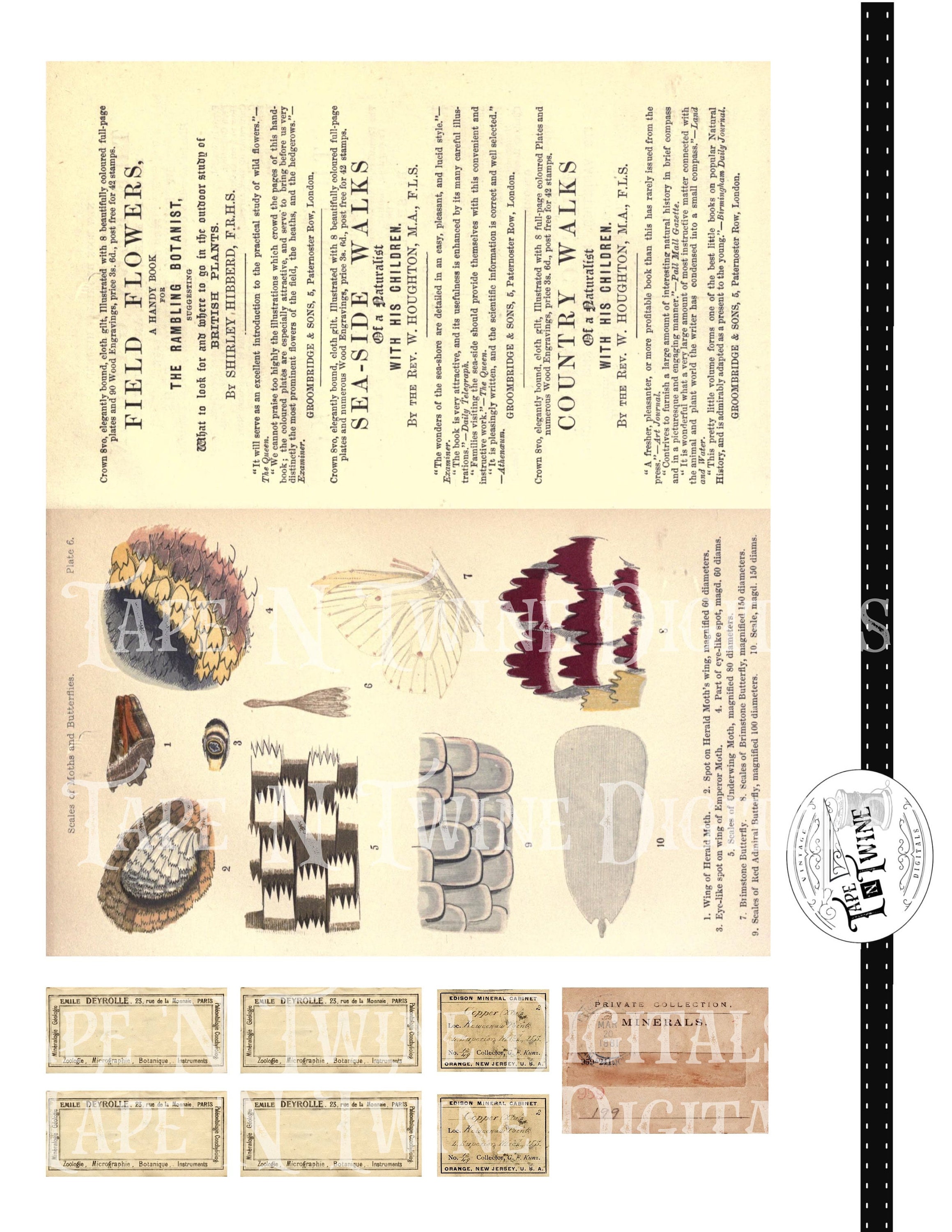 Under the Microscope Junk Journal DIGITAL KIT / Victorian - Etsy Ireland