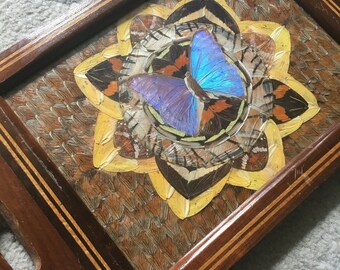 Butterfly Wing Serving Tray - Etsy