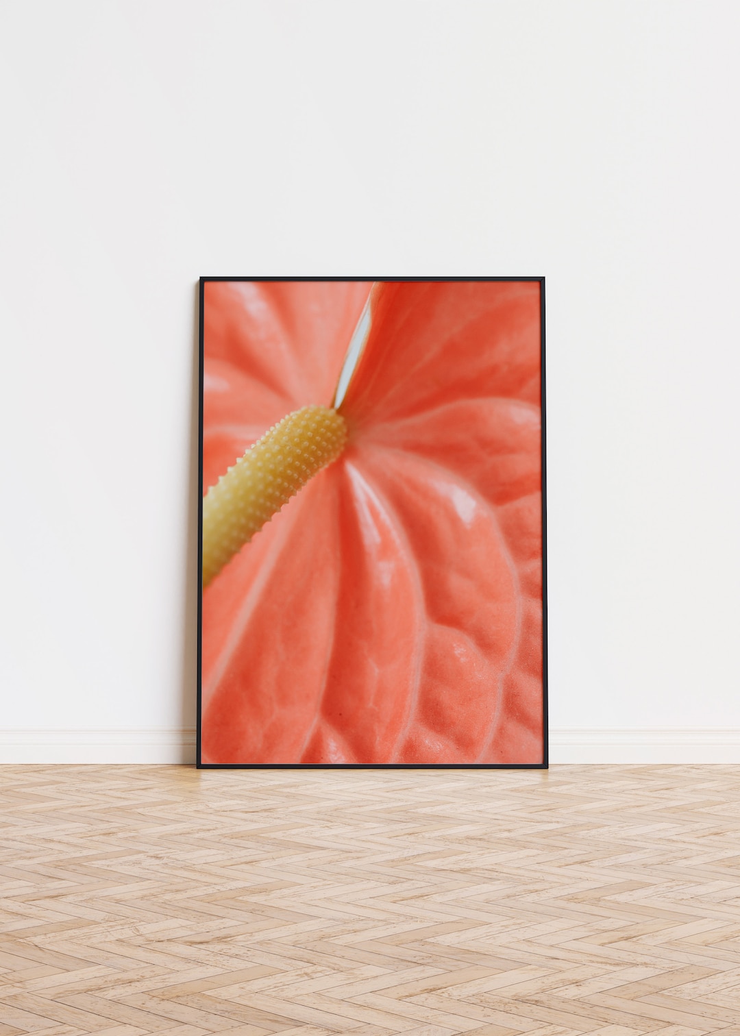Anthurium Poster | Anthurium Wall Art | Anthurium Forms Art | Anthurium ...