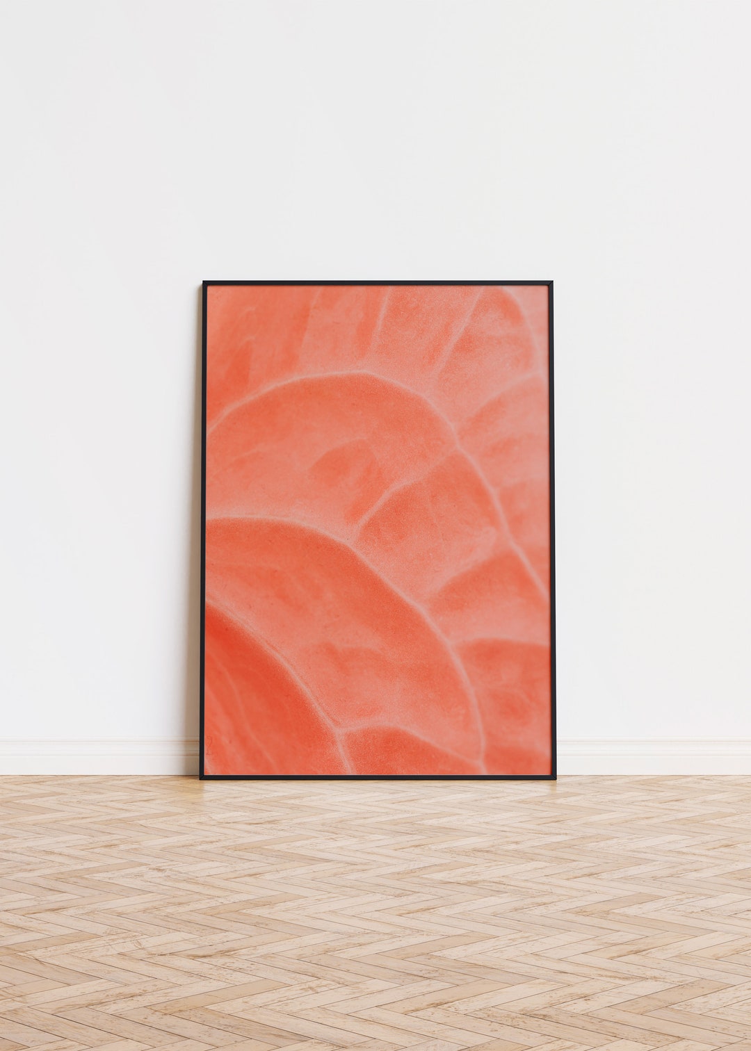 Peach Color Anthurium Poster | Peach Color Anthurium Wall Art | Peach ...