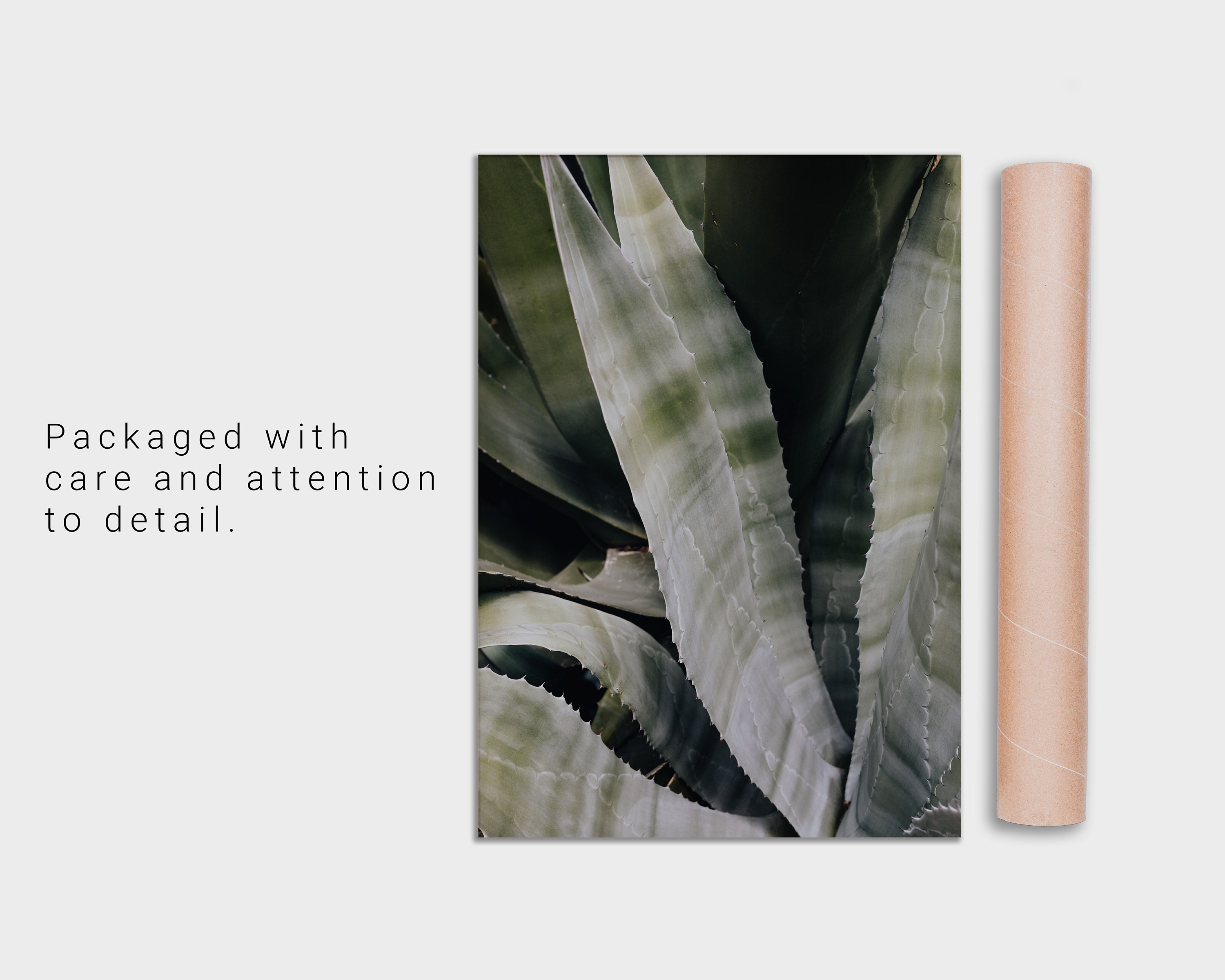 Plant Theme Poster Plant Theme Wall Art Plant Theme Art Plant Theme ...