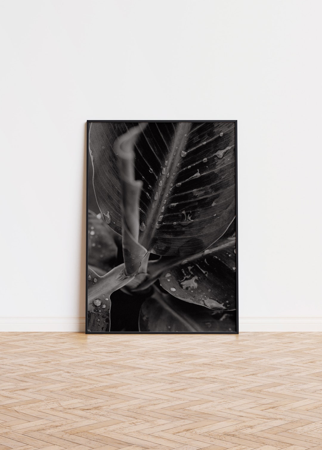 Leaf Poster | Leaf Wall Art | Leaf Art | Leaf Printed Poster - Etsy