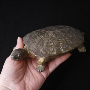 Vintage Brass Turtle Jewelry Box Heavy Brass Trinket Box Silver Tone ...