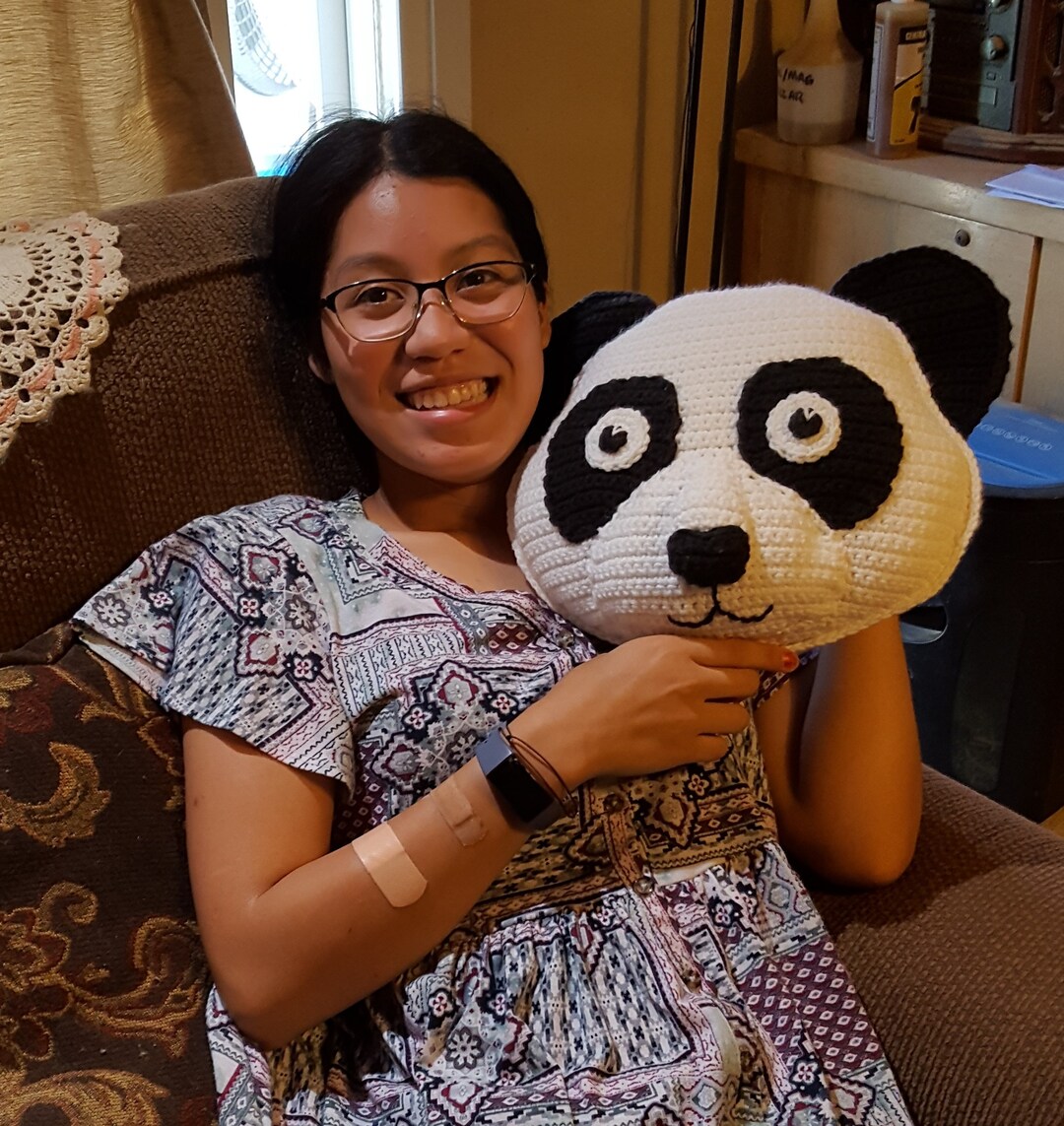 Polly Panda Pillow Crochet Pattern - Etsy