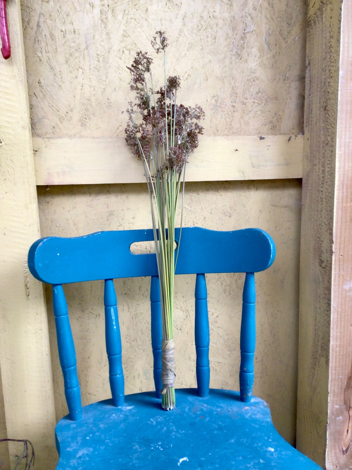 30 Dried Stems of Bronze Pink Reeds, Organically Grown, Sustainably ...