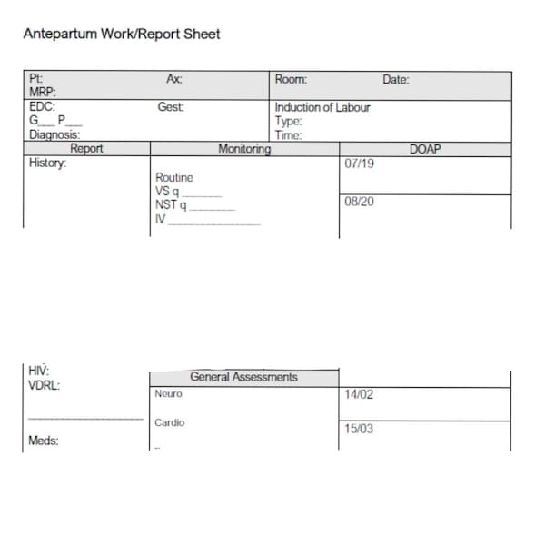 Nurse Report Sheet Antepartum - Etsy