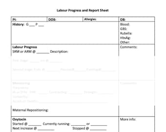Antepartum Report Sheet L&D Unit english - Etsy