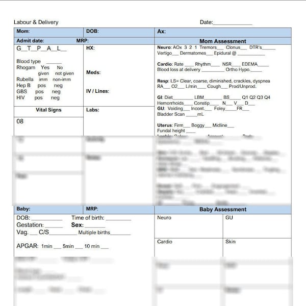 Postpartum Nurse Report - Etsy
