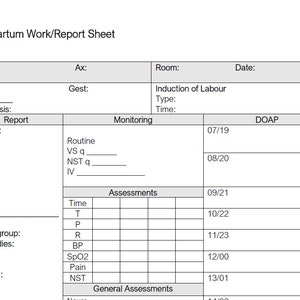 Antepartum Report Sheet - L&D Unit (english) - Etsy