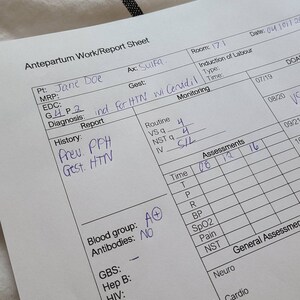 Antepartum Report Sheet L&D unit English - Etsy.de