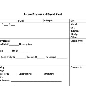 Labour Patient Hand off Sheet (english) - Etsy