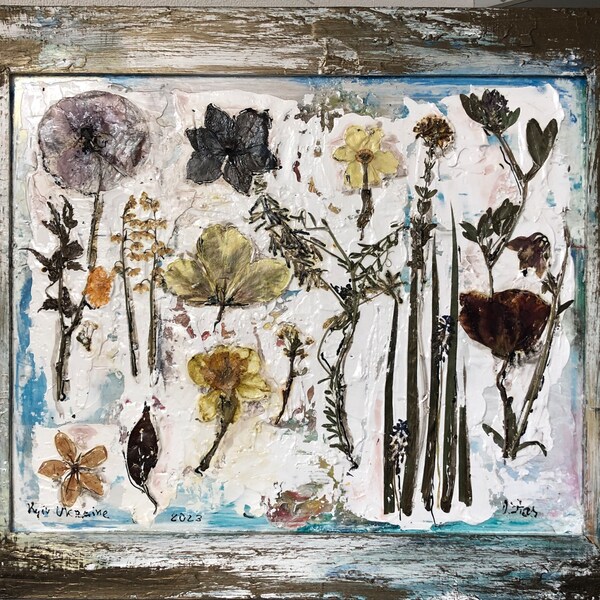 Framed Herbarium - Etsy