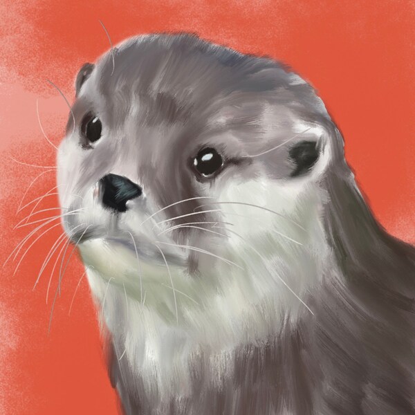 Otter Art - Etsy